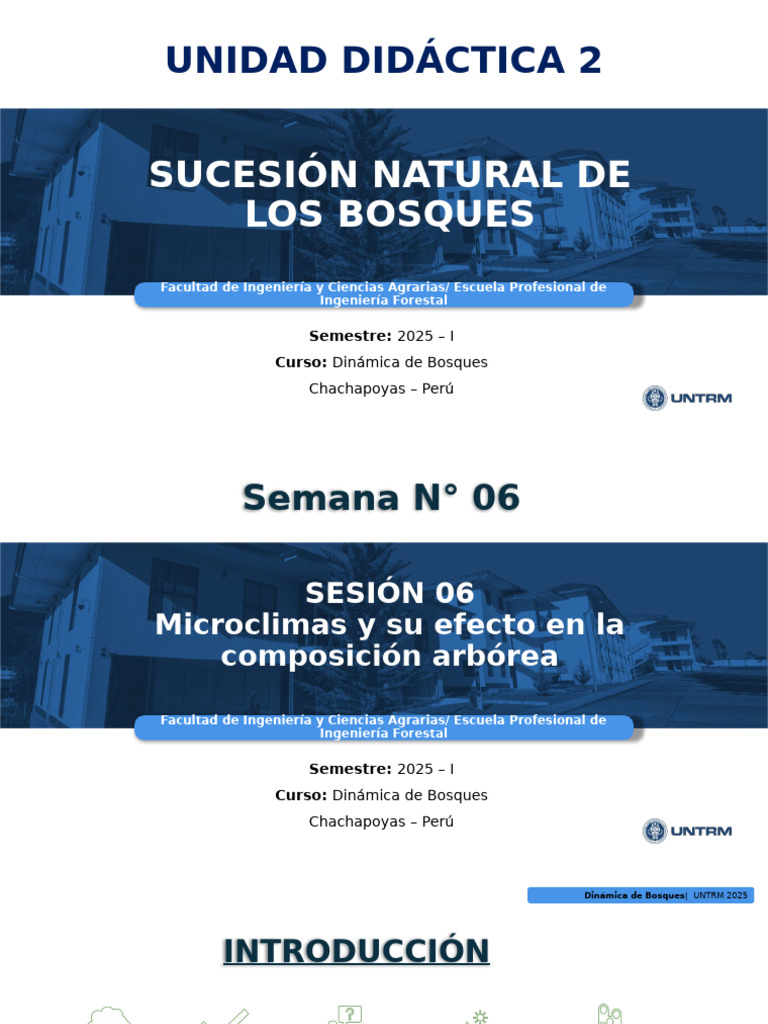 Sesion 6 Dinámica de Bosques | PDF | Arboles | Los bosques