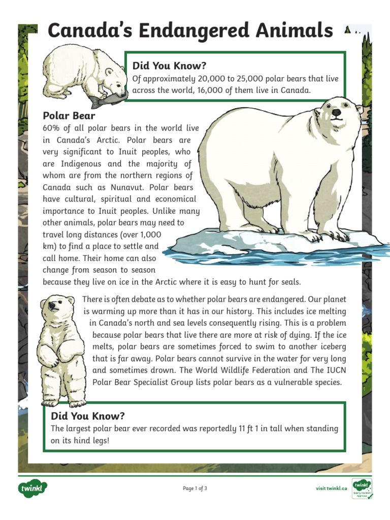 Canada's Endangered Animals | PDF | Polar Bear | Whales