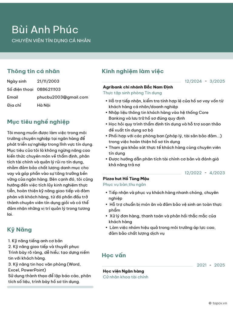 CV Bùi Anh Phúc 1 | PDF