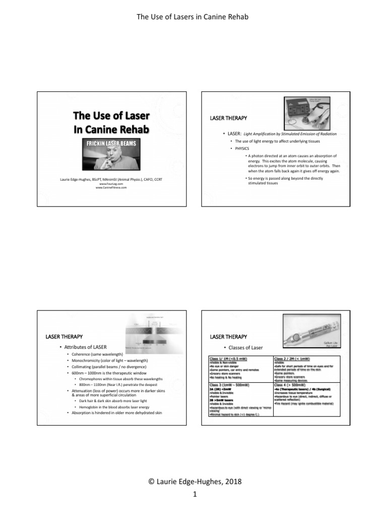 UseOfLasersCanineRehab Handout 1 | PDF | Laser | Light