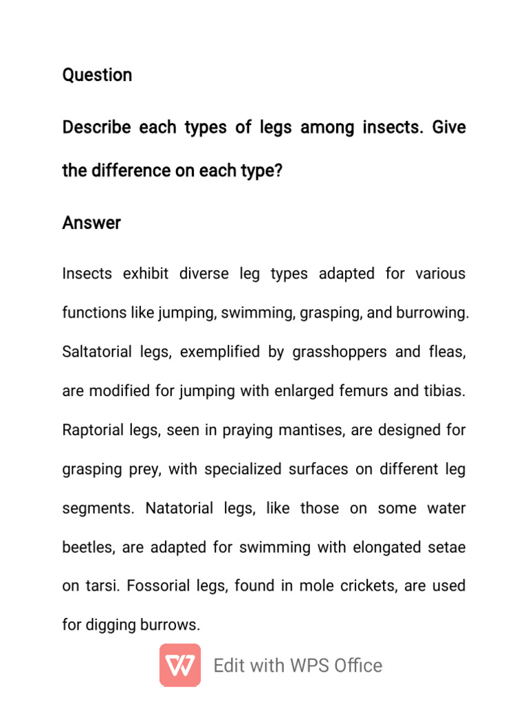 Types of Insect Legs Explained | PDF