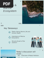 Coastal Clean Up Form | PDF | Nature