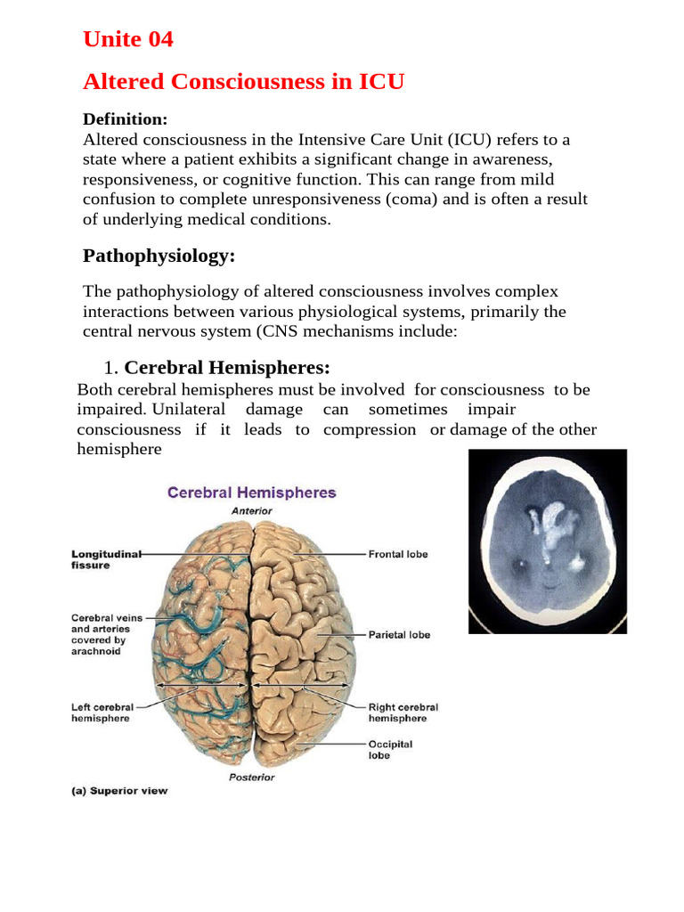 Altered Consciousness in ICU Changed | PDF | Traumatic Brain Injury ...