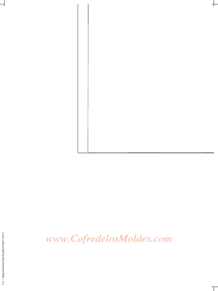 Blazer Spolverino (Talle XXL) | PDF