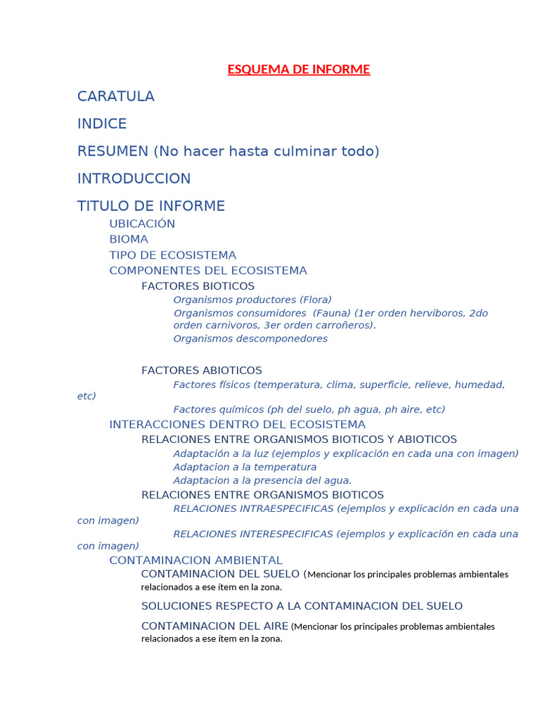 Esquema de Informe | PDF