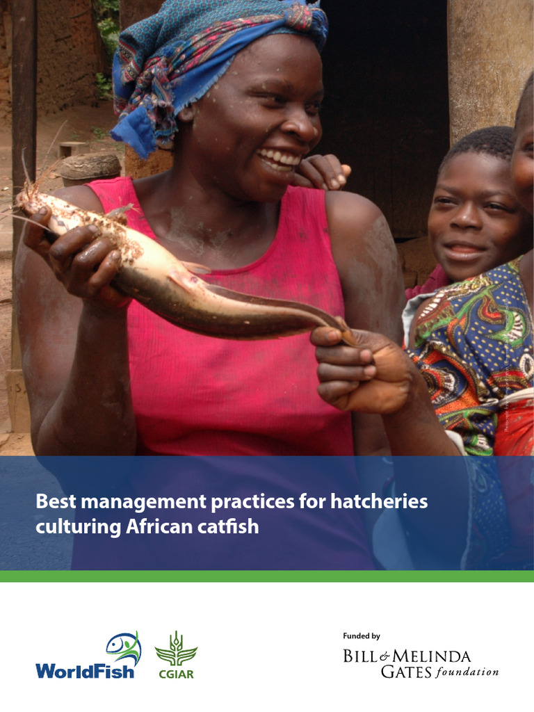 Best Management Practices For Hatcheries Culturing African Catfish | PDF | Inbreeding | Aquaculture