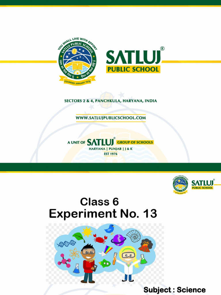 Science Experiment No. 13 | PDF