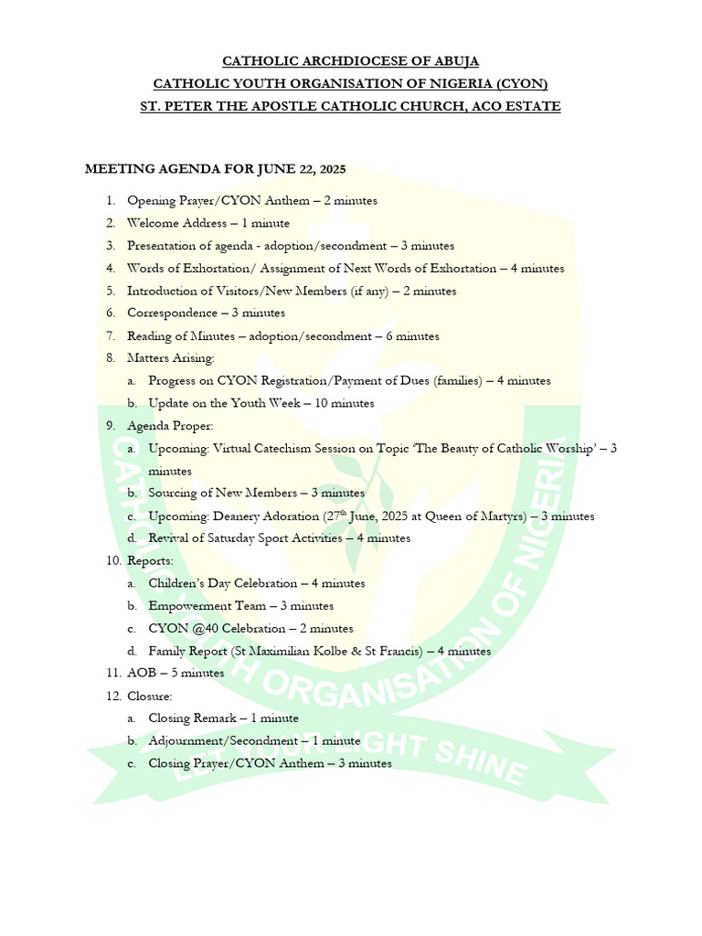 CYON Meeting Agenda - June 2025 | PDF