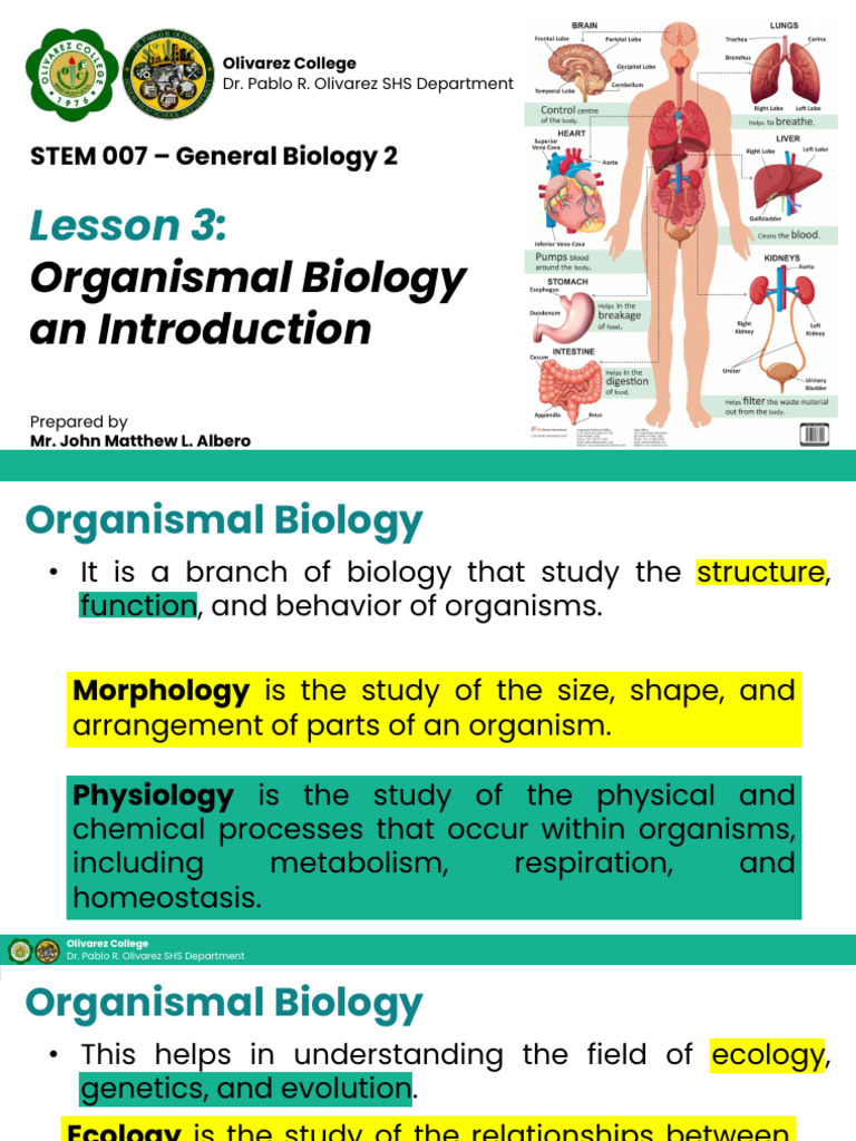 Lesson 3 - Organismal Biology An Introduction - Learners | PDF | Human ...