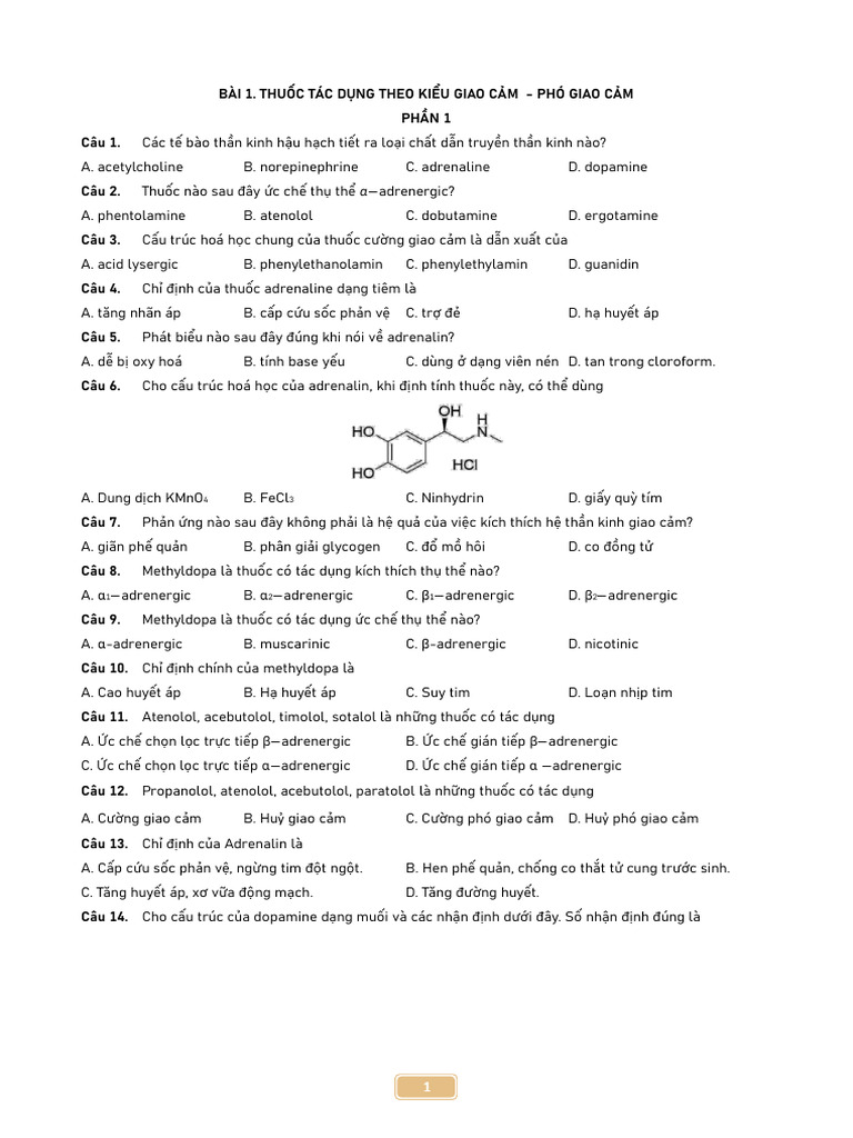 HL-K14-XOÁ ĐÁP ÁN-ÔN TẬP | PDF