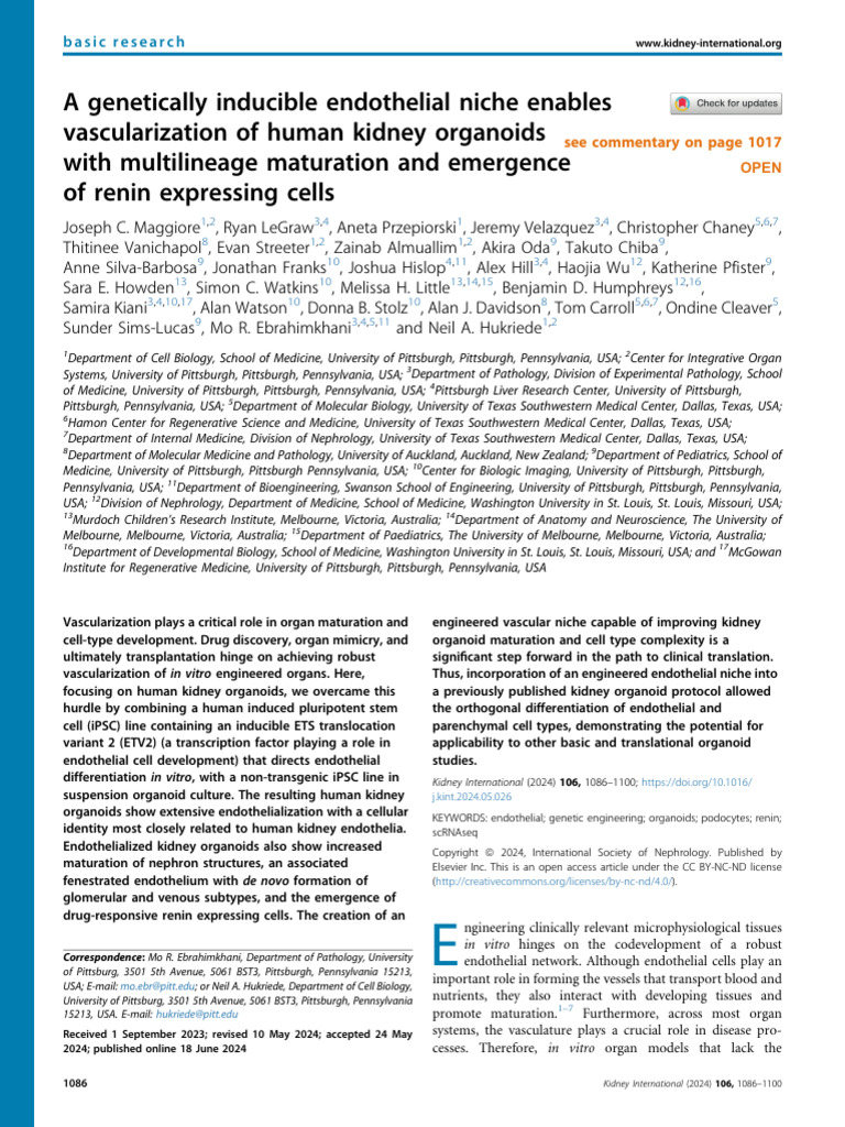 A Genetically Inducible Endothelial Niche Enables | PDF | Life Sciences | Biology