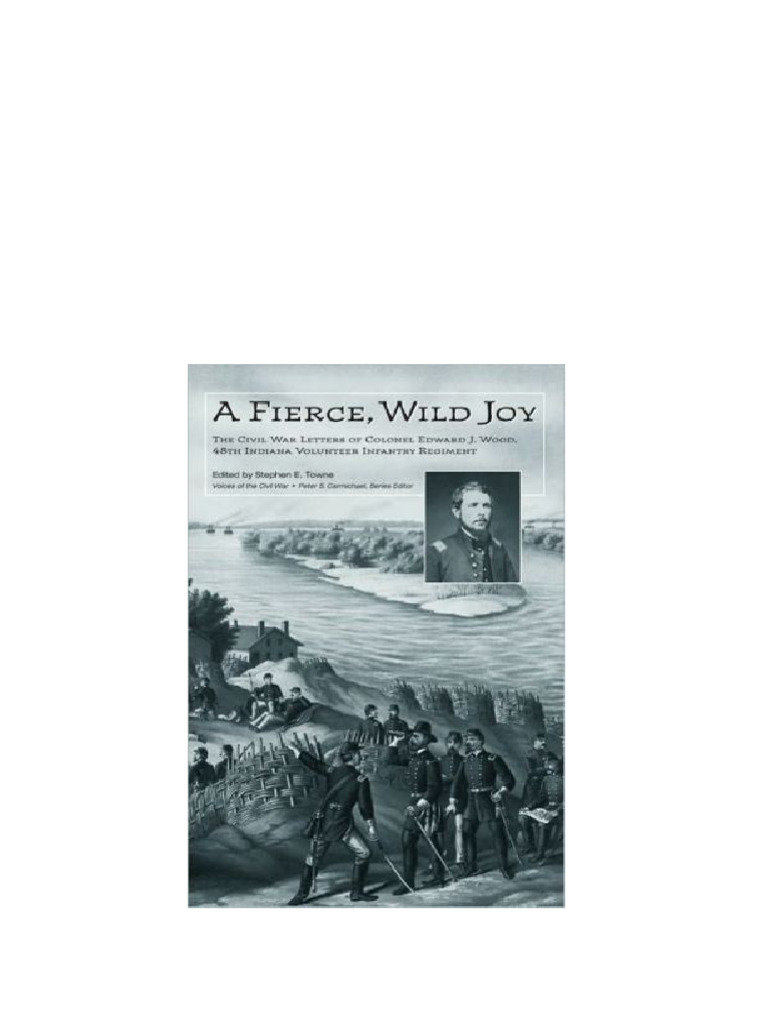 A Fierce Wild Joy The Civil War Letters of Colonel Edward J Wood 48th ...