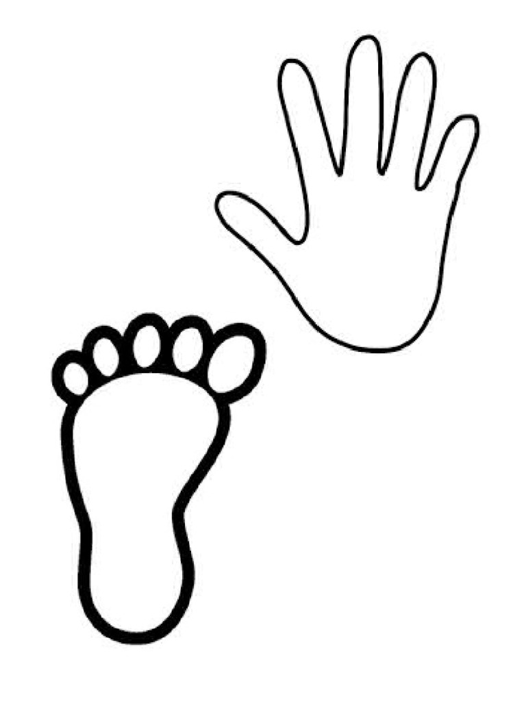 Hand & Footprint | PDF