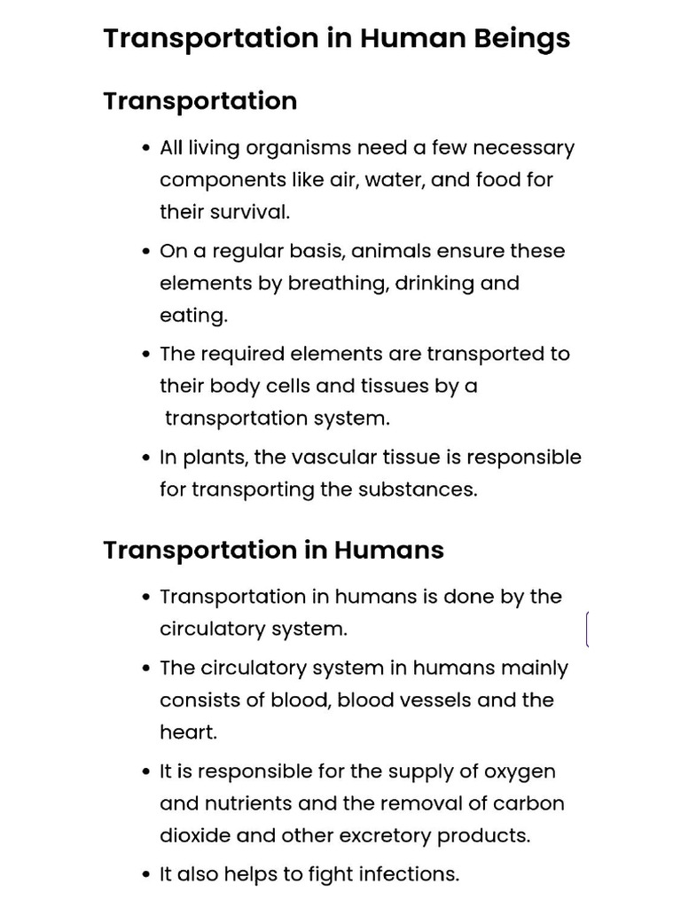 Life Processes - Transportation | PDF