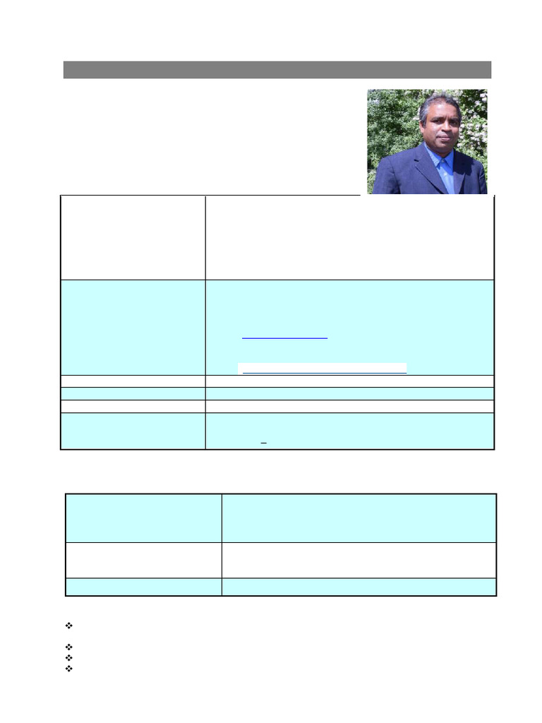 Prof. Dr. P. Ravindran's CV | PDF | Superconductivity | Solid