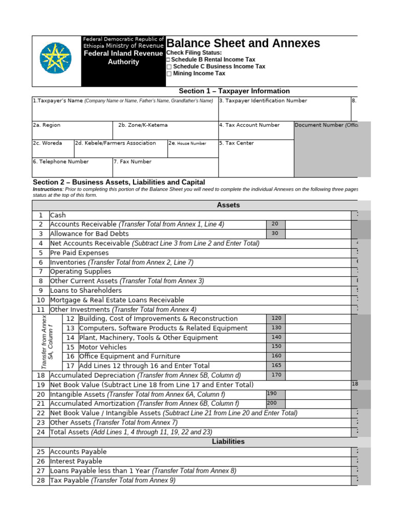 Ethiopia Taxpayer Balance Sheet Form | PDF | Book Value | Payments