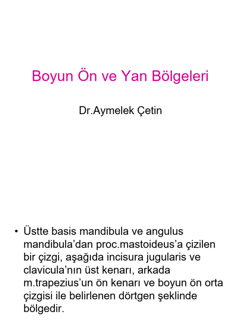 Boyun Ön Ve Yan Bölgeleri | PDF