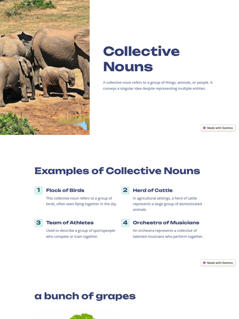Collective Nouns | PDF
