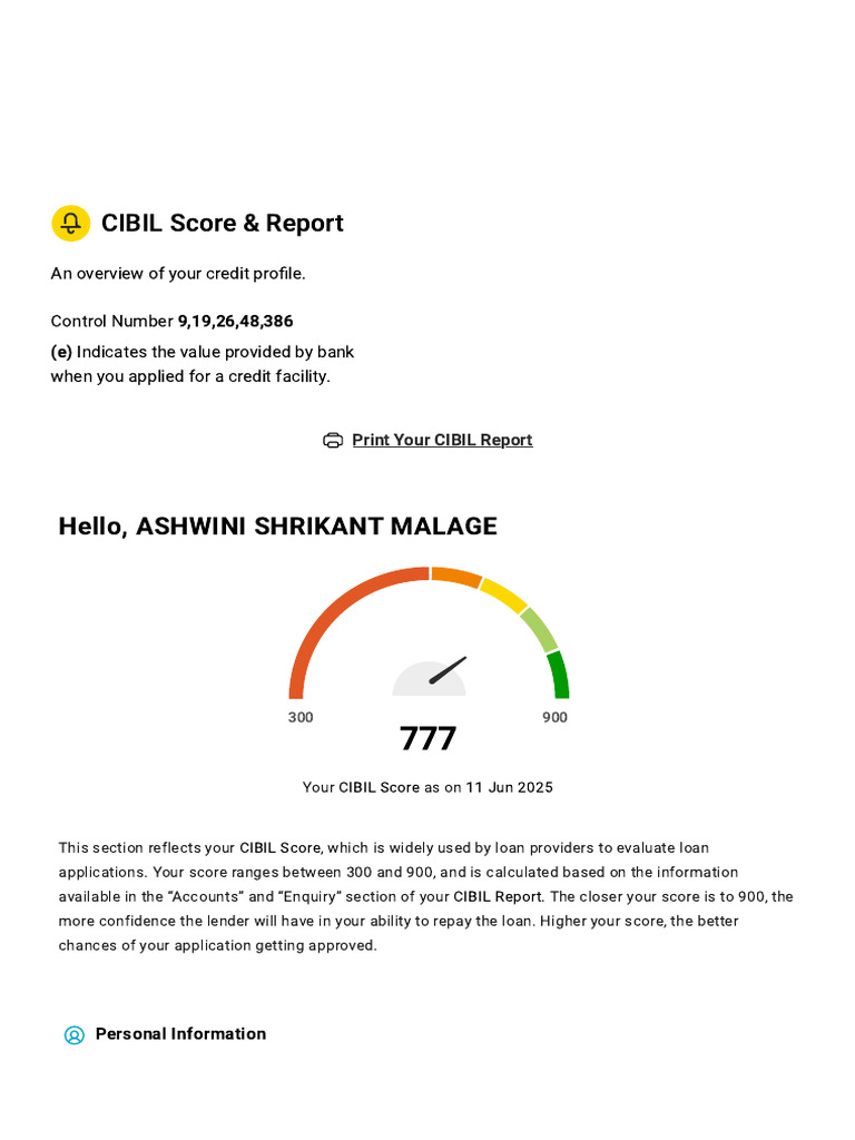 CIBIL Score Overview and Report | PDF