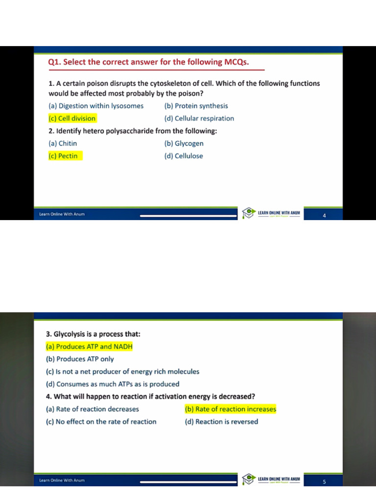 Solved Model Paper | PDF