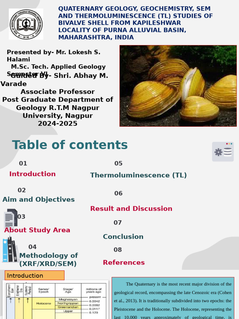 Lokesh Dissertation Final | PDF | Absorbed Dose | Scanning Electron Microscope