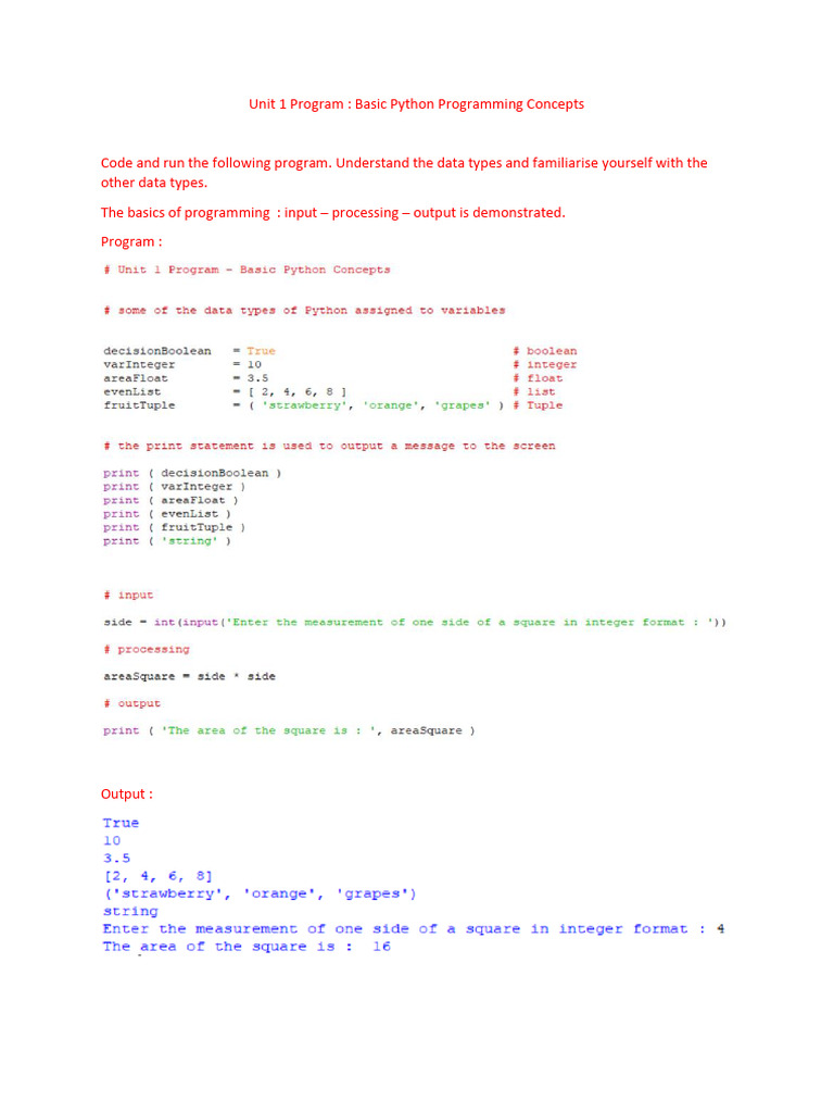 Unit 1 Program - Basic Python Programming Concepts - 071619 | PDF