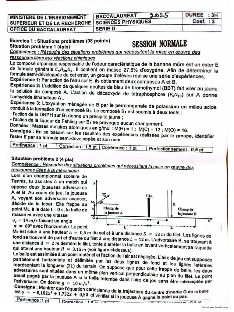Bacild 2025 Tled | PDF