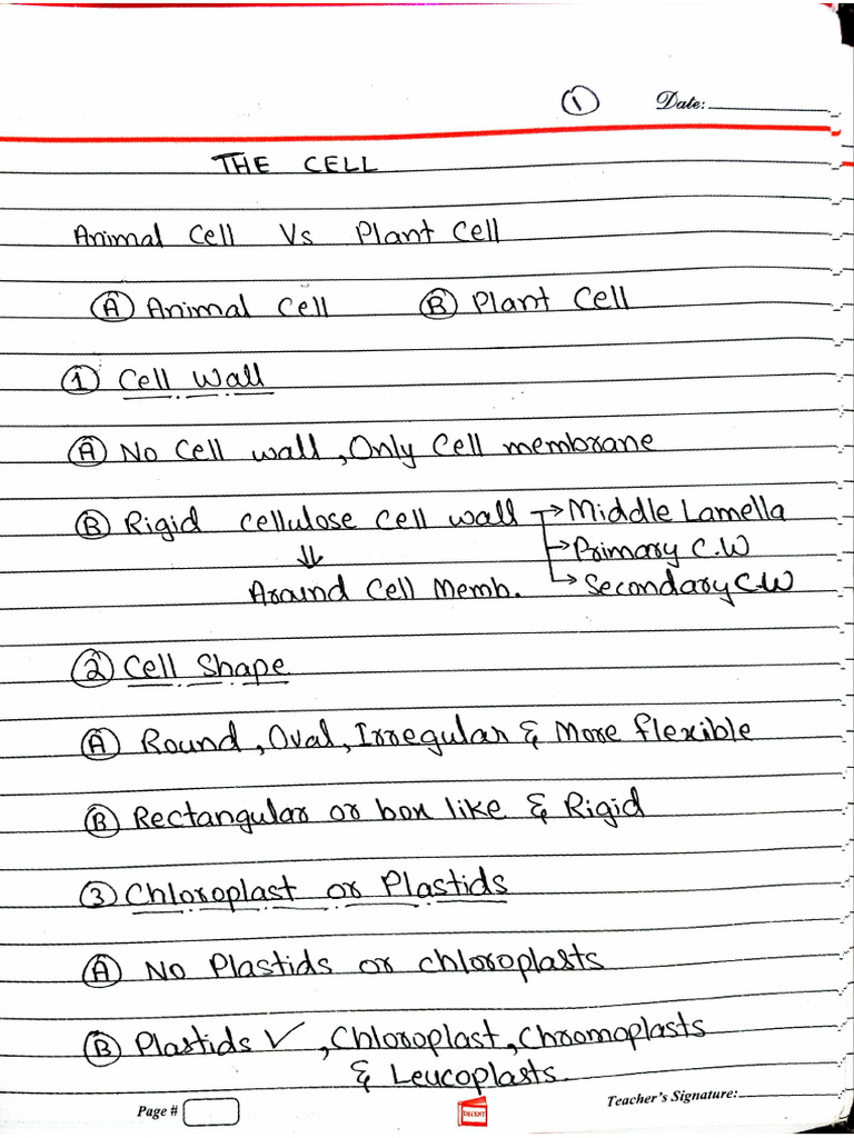 The Cell Lec 01 | PDF