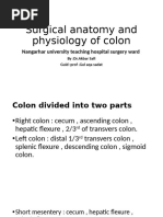 Sigmoid Colon Length and Anatomy | PDF | Large Intestine | Rectum