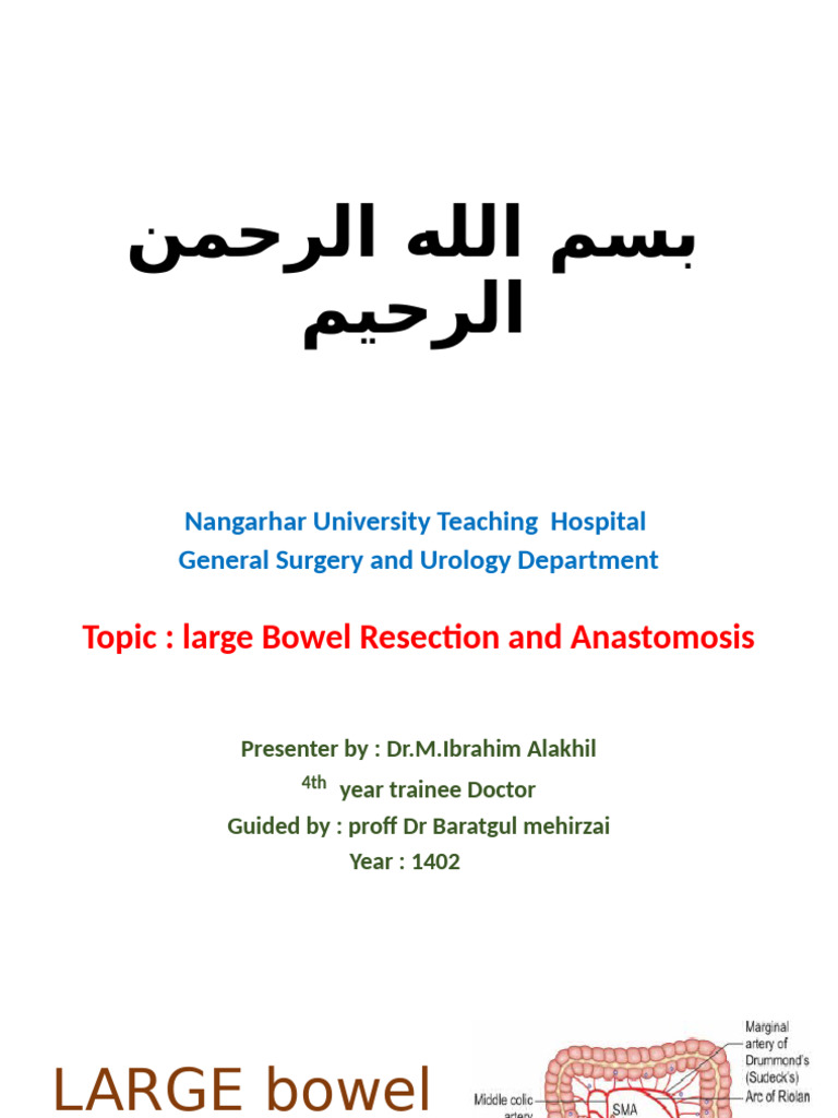 Large Bowel Resection & Anastomosis Guide | PDF | Large Intestine | Vein