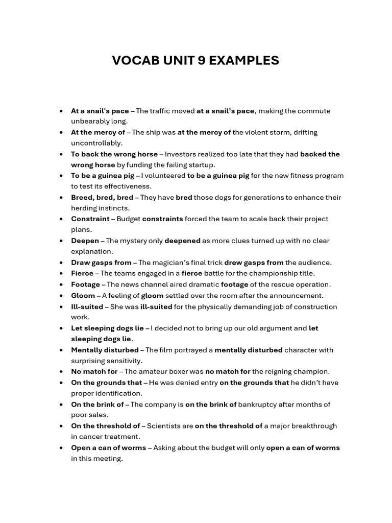 Vocab Unit 9 Examples | PDF