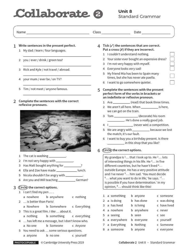 COL - TRB 2 - Standard - Grammar Unit 8 - Without Answers | PDF | Languages | Foreign Language ...