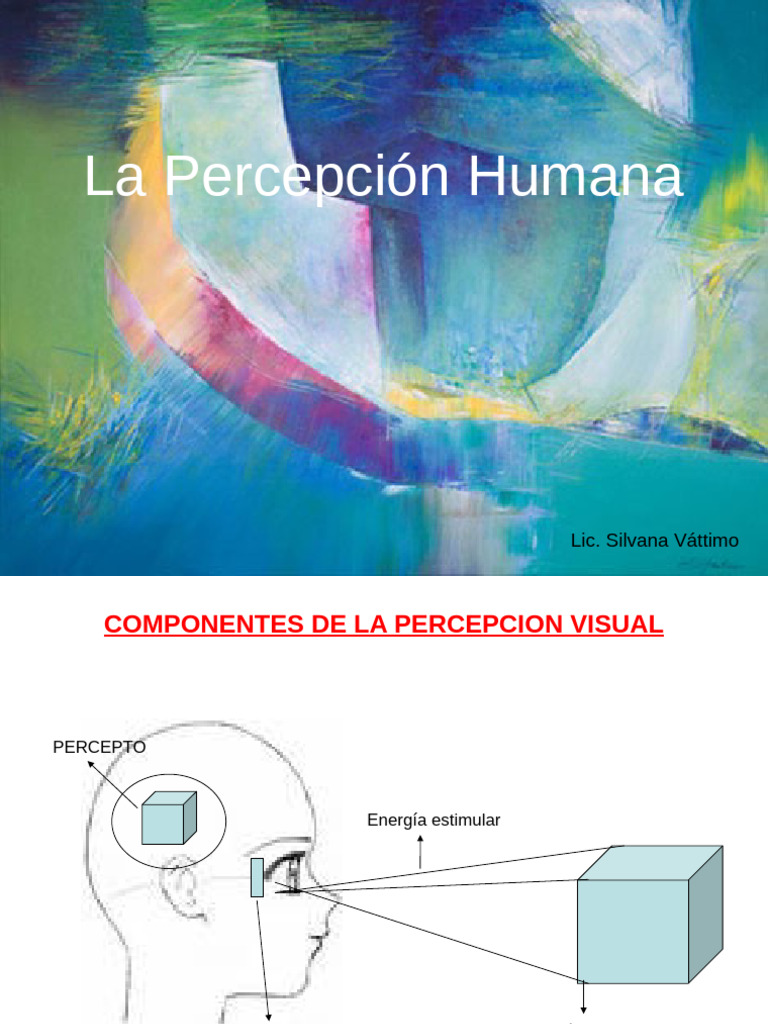 Componentes y Etapas de la Percepción | PDF | Percepción | Sentidos