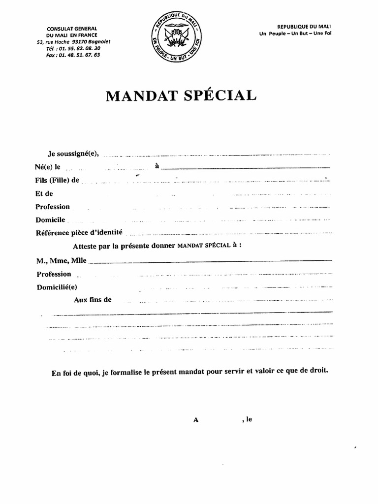 Mandat Special | PDF