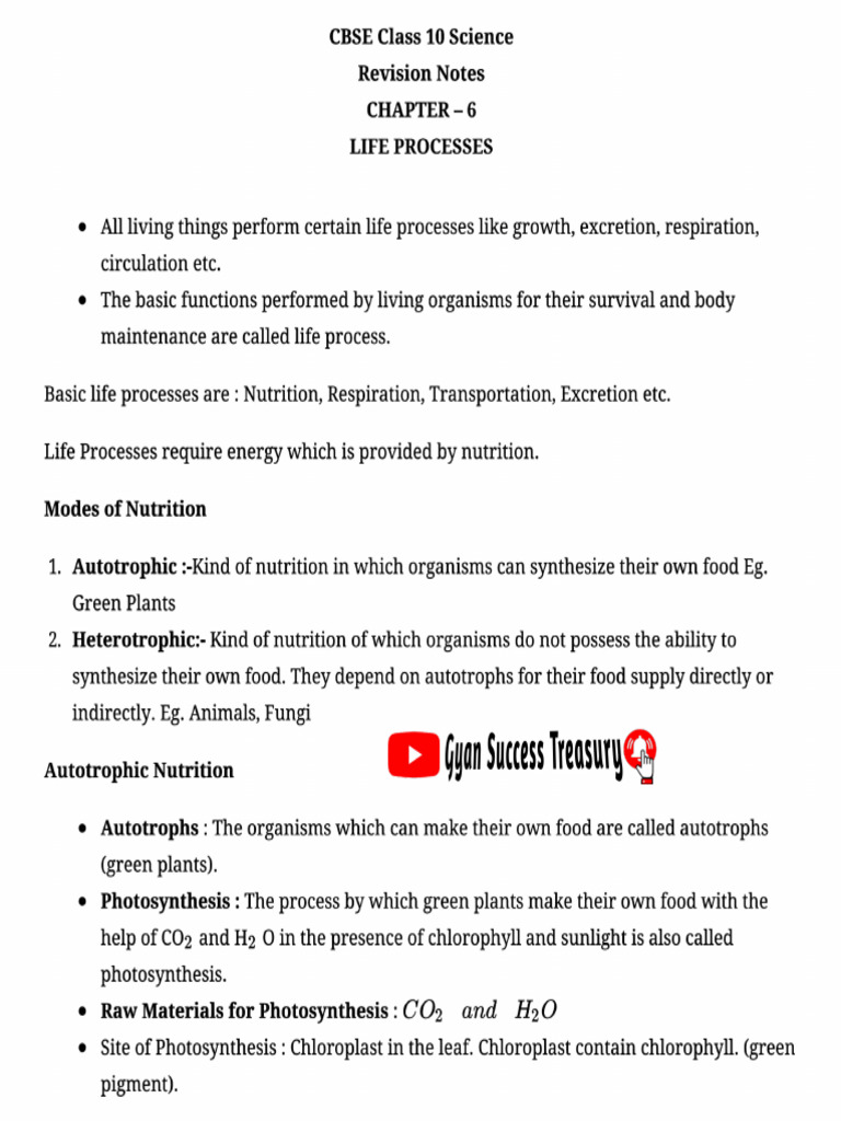Class 10 Science Chapter 6 Life Processes Notes | PDF