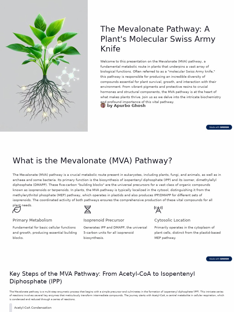 Mevalonate Pathway in Plant Metabolism | PDF | Biology | Metabolism