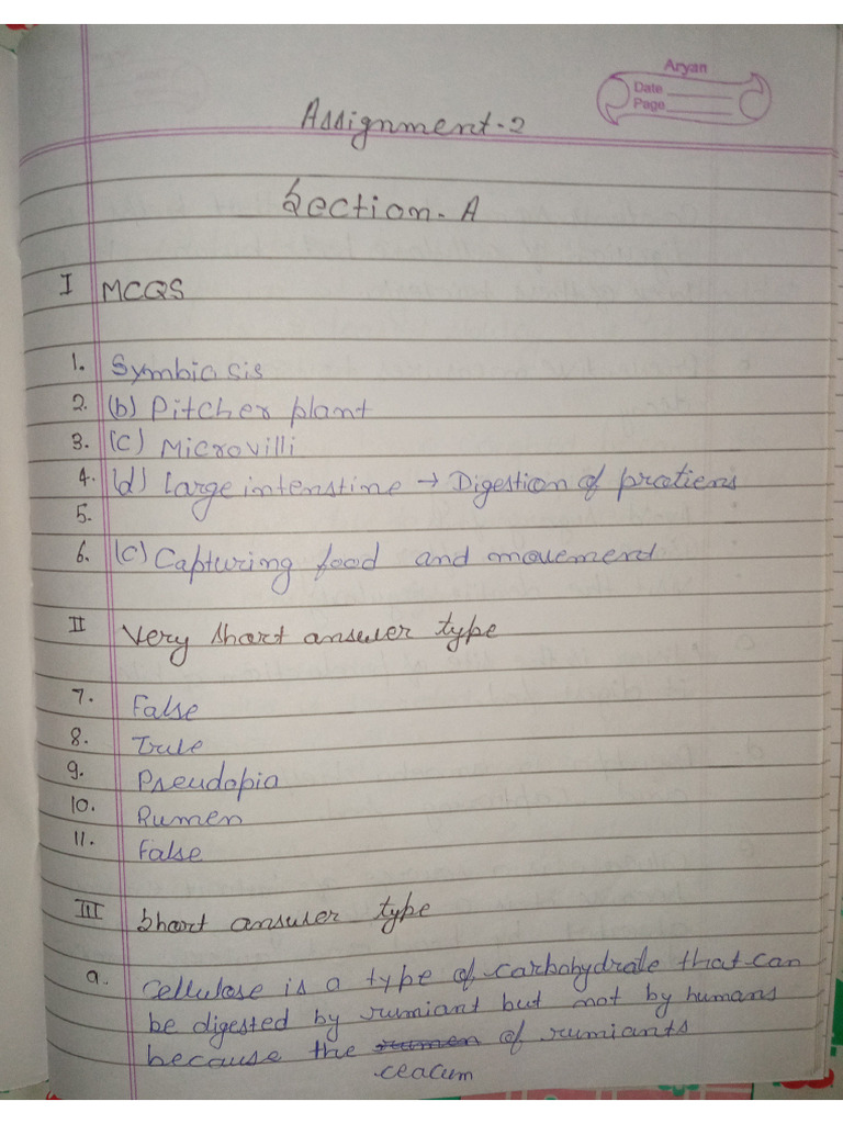 Science Assignment | PDF