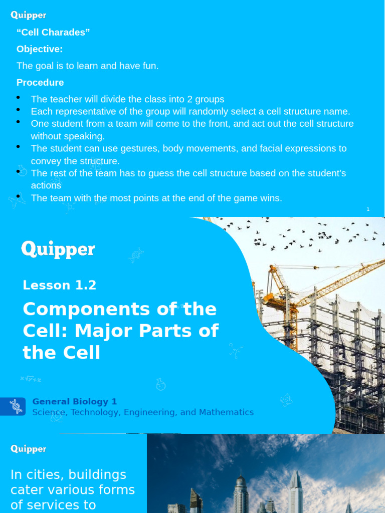 Fun Cell Structure Learning Game | PDF | Cell Membrane | Cytoskeleton