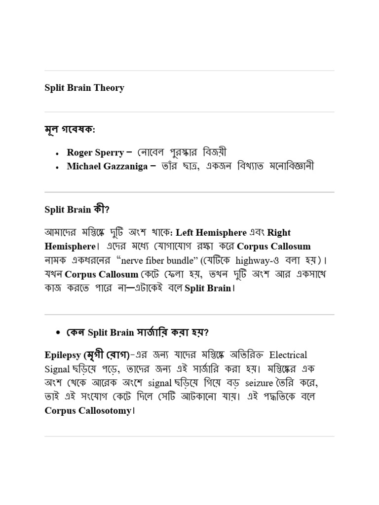 Split Brain | PDF