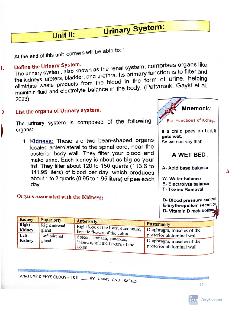 Anatomy Unit 2 | PDF