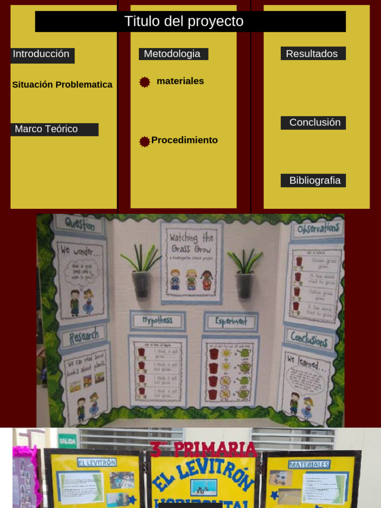 Presentación Feria de Ciencias | PDF