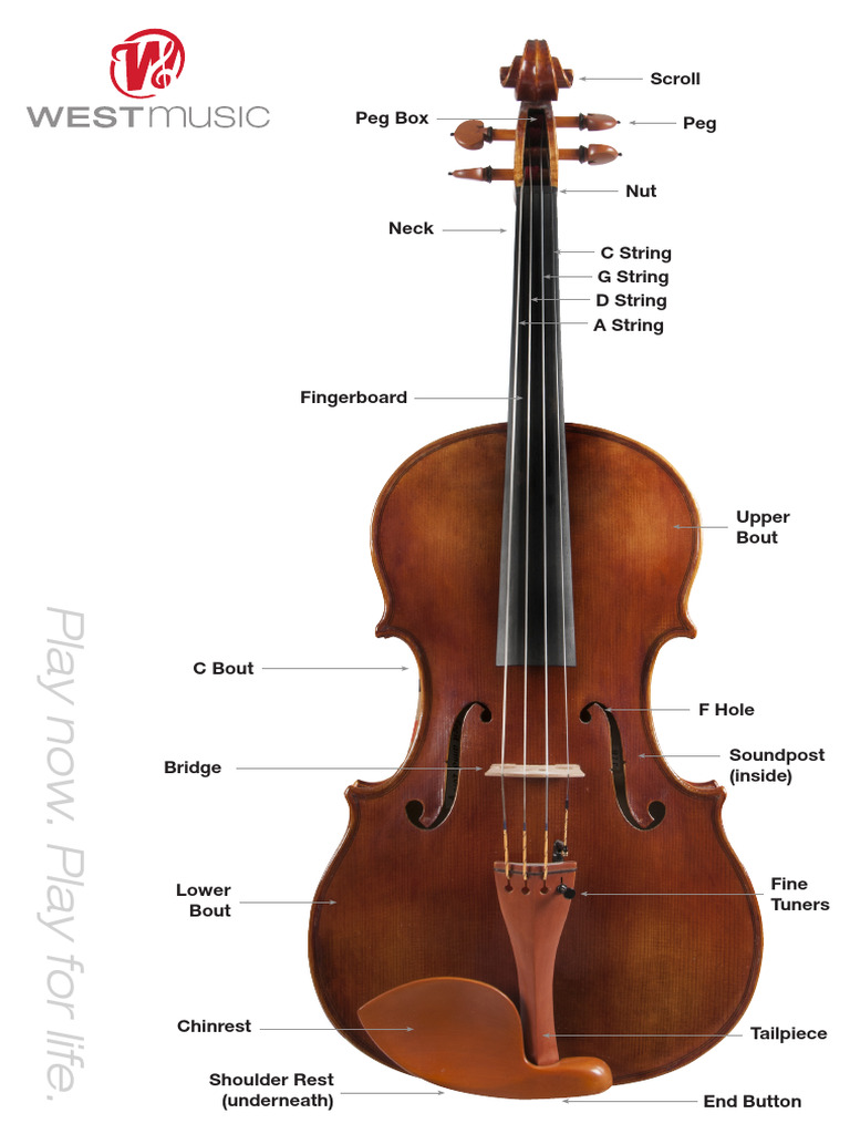 Violin Parts and Components Guide | PDF