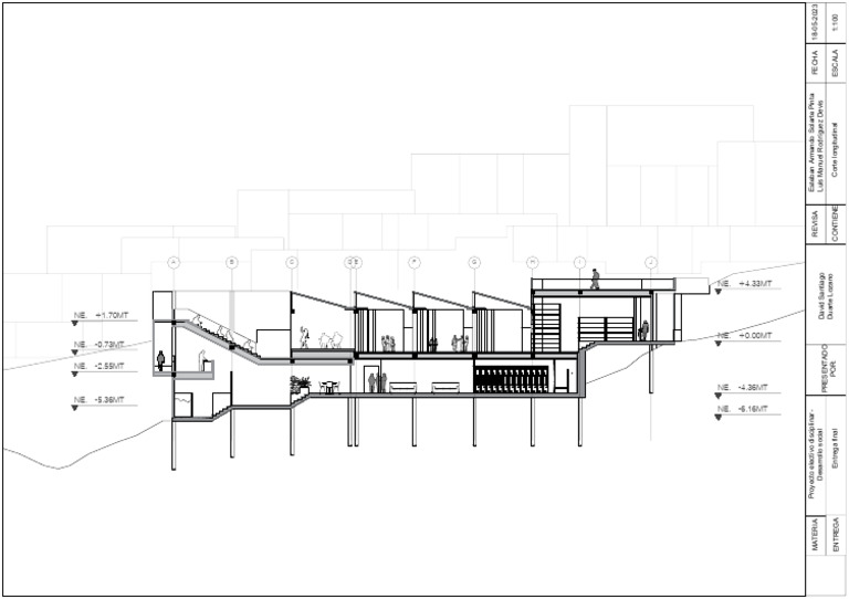 Corte Longitudinal | PDF
