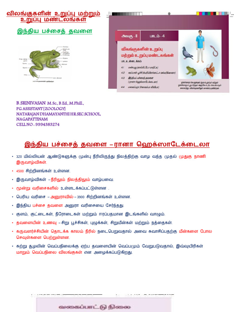 Class 11 Bio Zoology TM Lesson 4 Lesson Frog PPT 35 Page | PDF