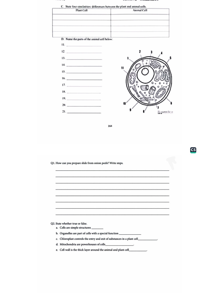 Class 6 Sci Worksheets | PDF