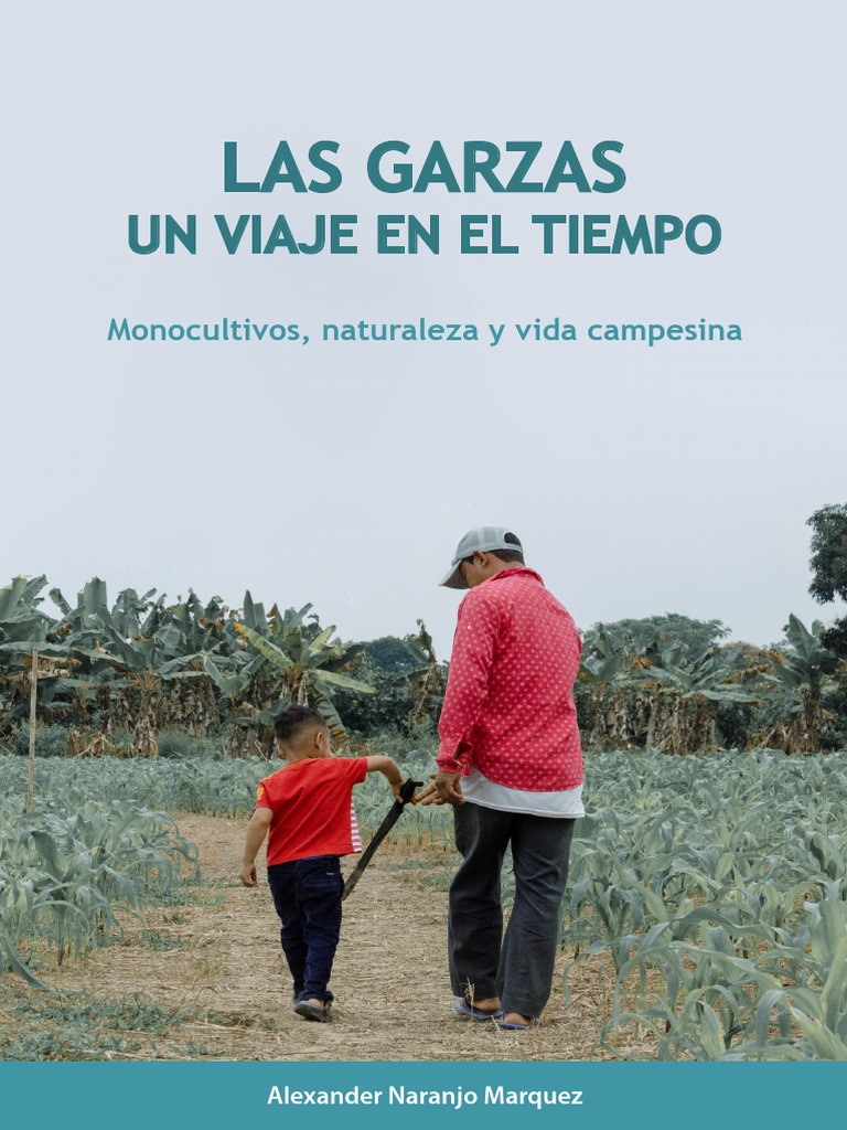 GARZAS Viajetiempo Web | PDF | Agua | Humedal