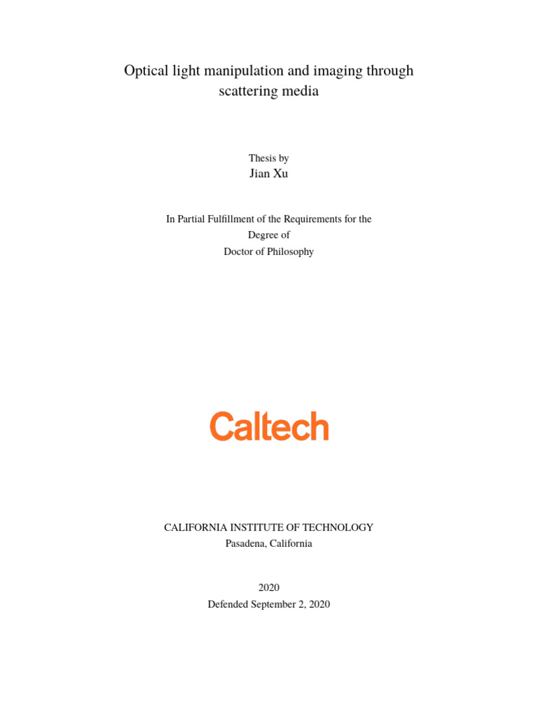Optical Light Manipulation and Imaging Through Scattering Media v2 | PDF | Waves | Optics