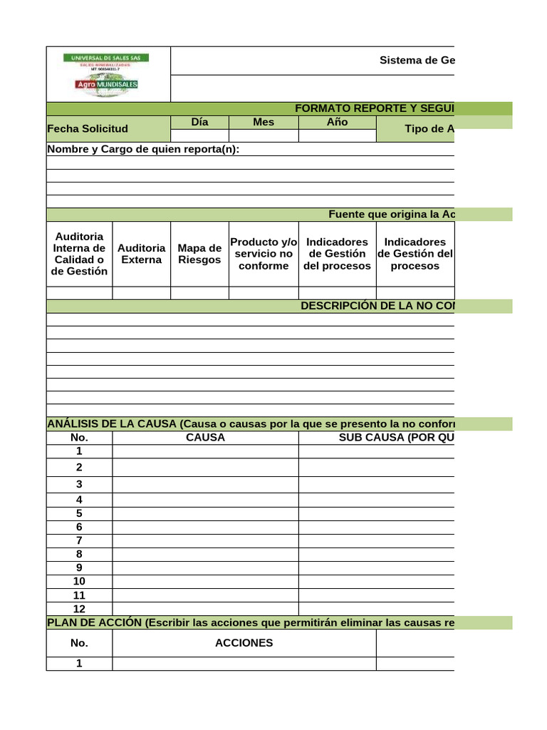 FT SST 098 Rep Seg | PDF | Auditoría