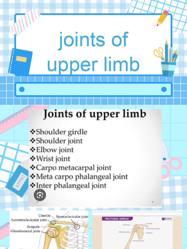 Joints of Upper Limb | PDF