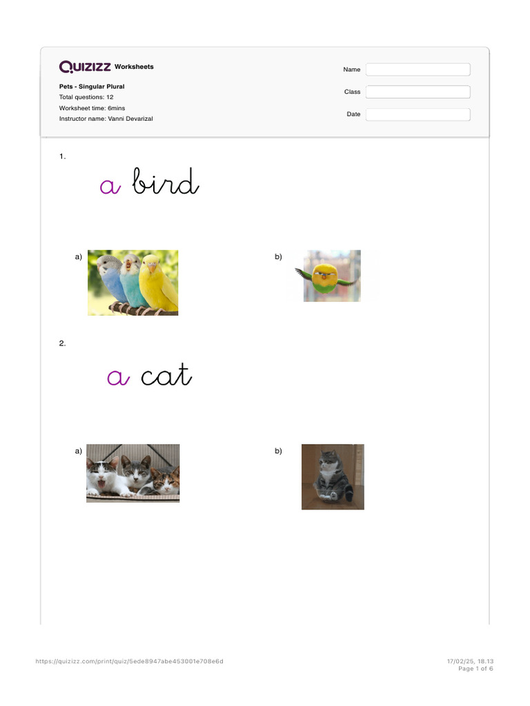 Pets - Singular Plural - Quizizz | PDF